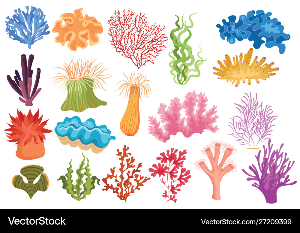 Set algae collection cartoon Royalty Free Vector Image