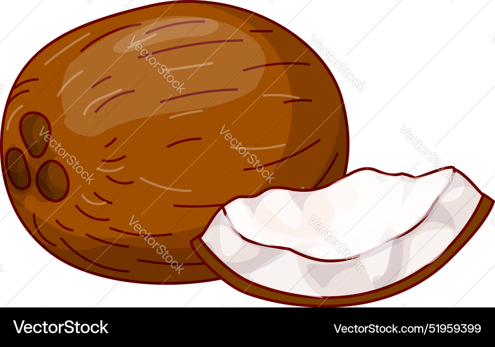 Whole coconut with a slice resting against it Vector Image