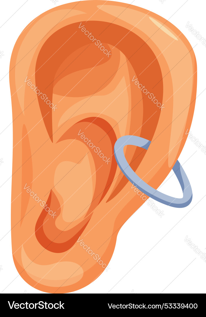 Human ear with piercing showing helix Royalty Free Vector
