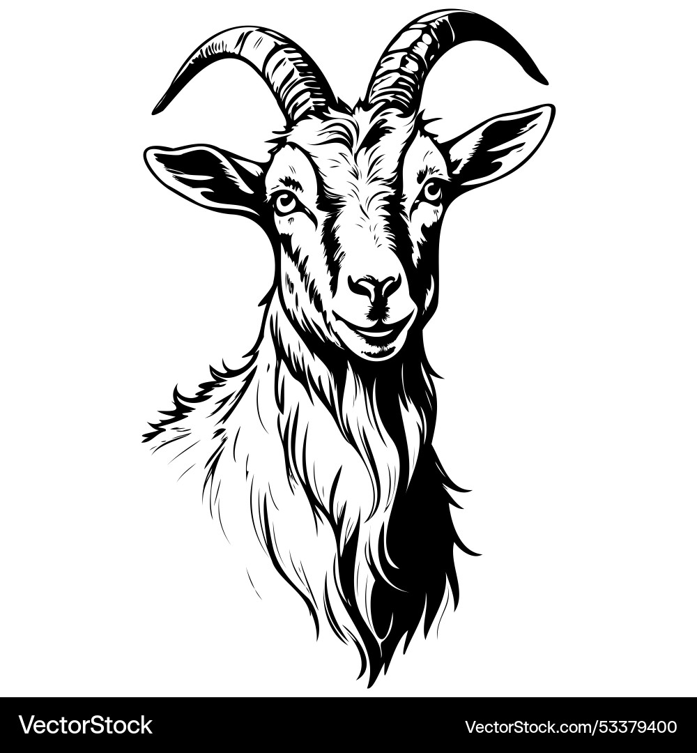 Isolated alpine goat portrait drawing realistic Vector Image