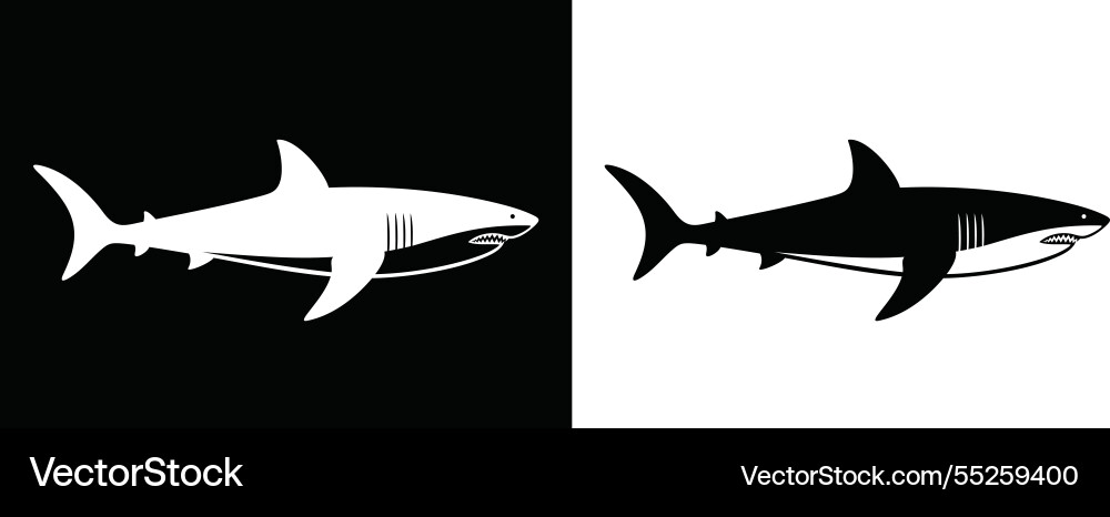 Shark Royalty Free Vector Image - VectorStock