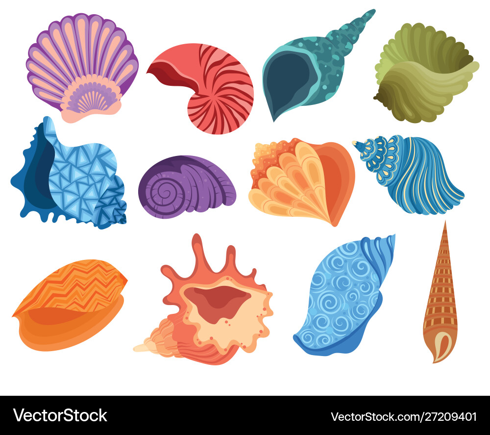 Set cartoon seashells a collection sea Royalty Free Vector