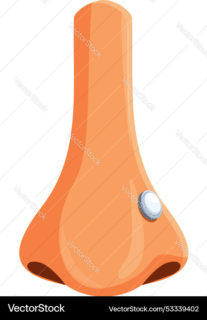 Human nose with piercing showing body modification