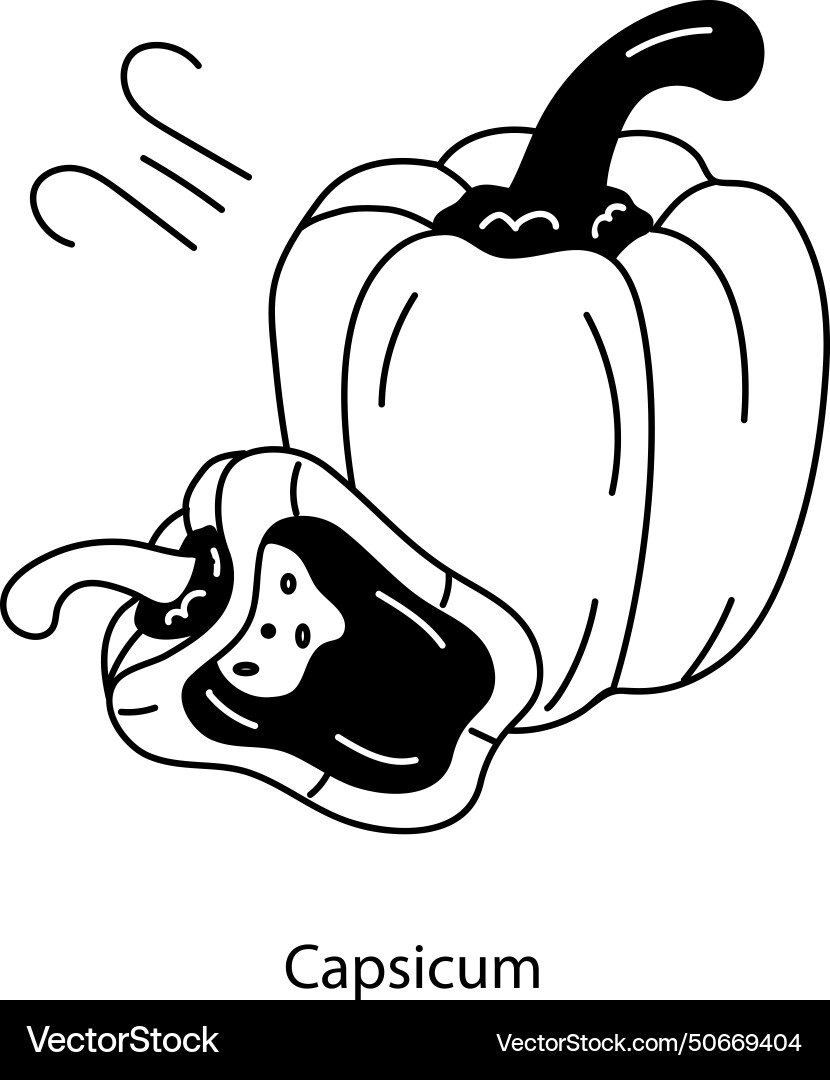 Capsicum Royalty Free Vector Image - VectorStock