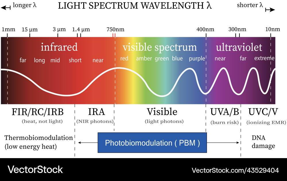 Light spectrum chart Royalty Free Vector Image