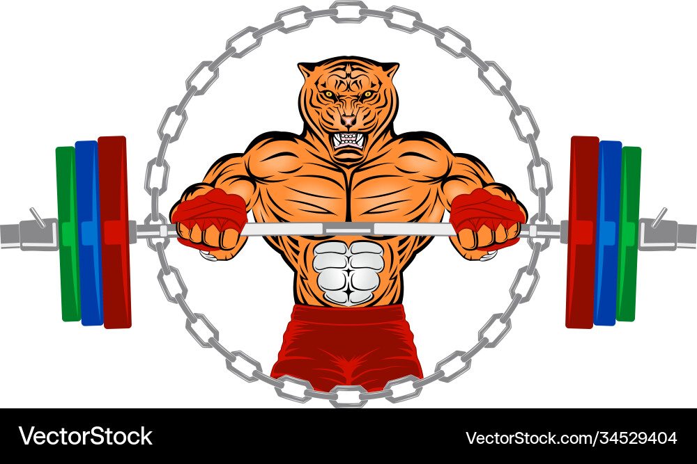 Strong tiger col 0001 Royalty Free Vector Image