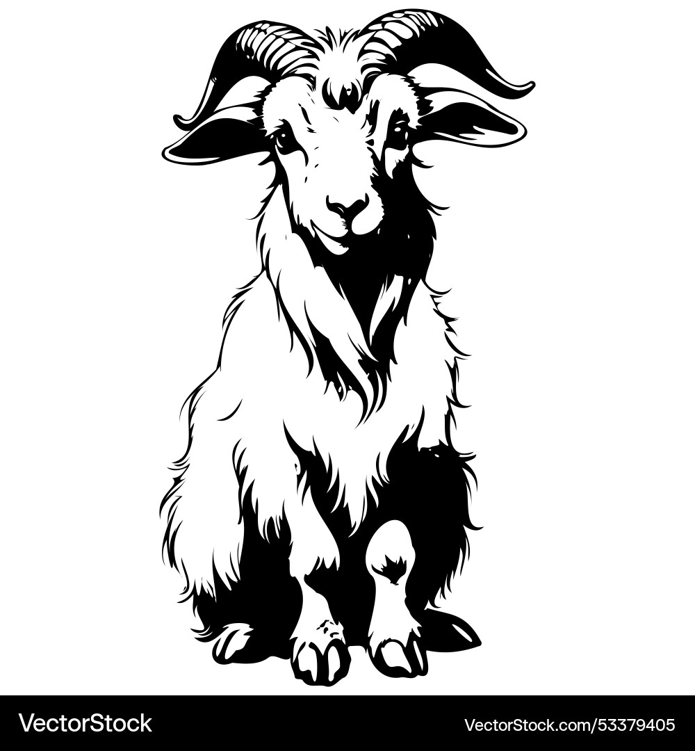 Isolated angora goat sitting ink hand drawn Vector Image