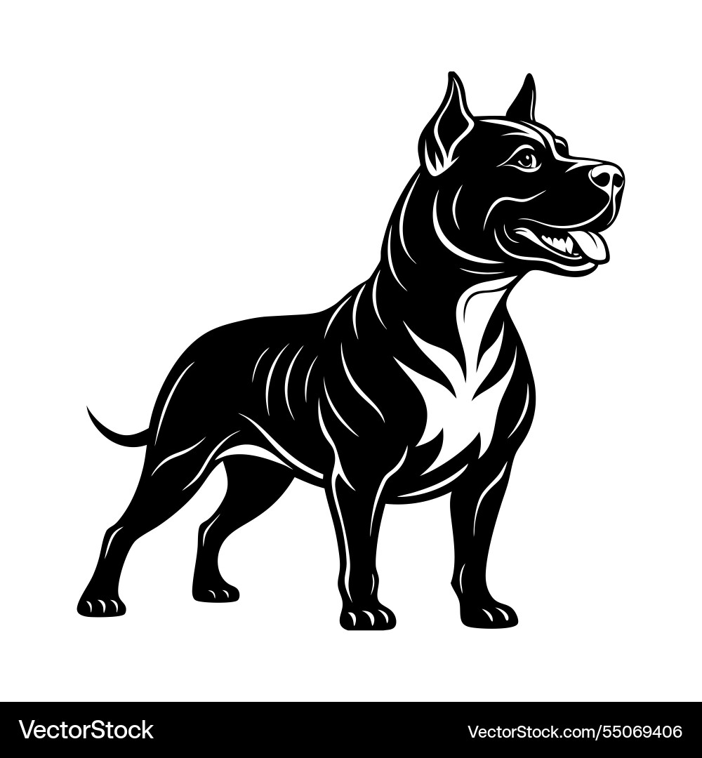 Side profile silhouette Royalty Free Vector Image