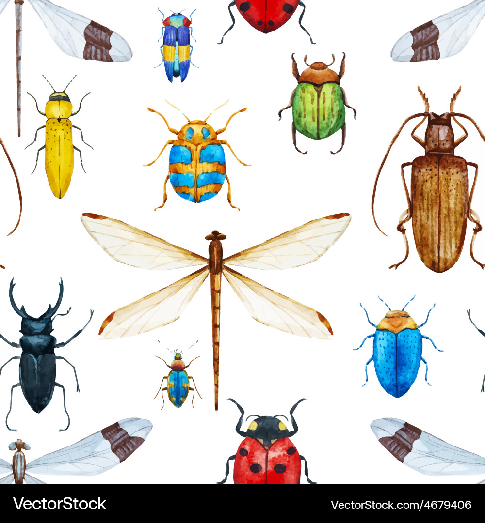 Watercolor Bug Pattern Royalty Free Vector Image