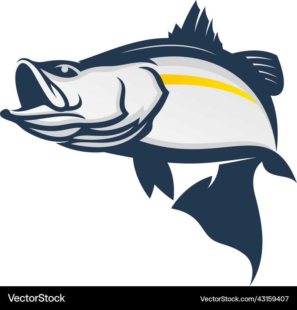 Barramundi fish fishing template Royalty Free Vector Image