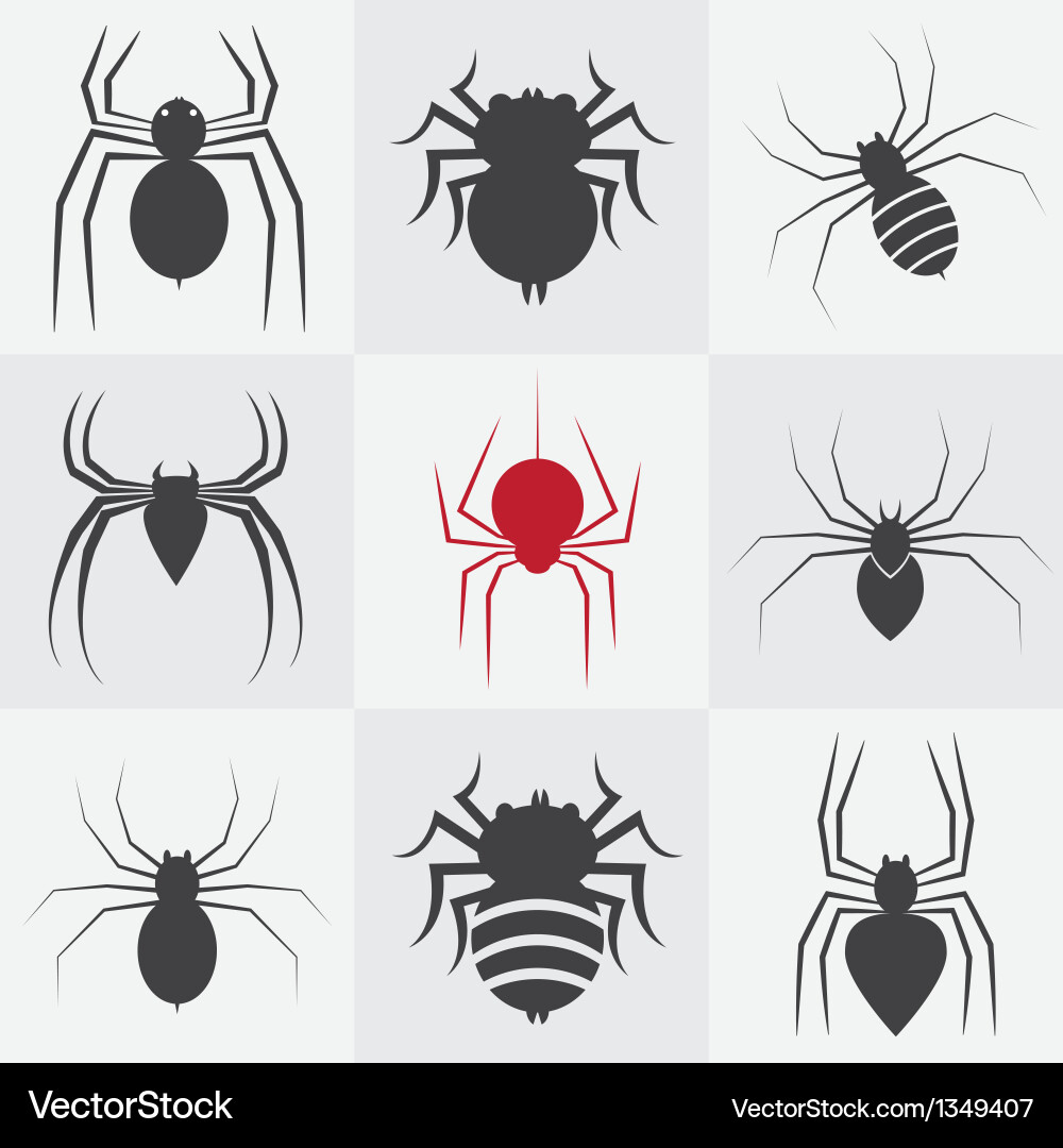 Spider Royalty Free Vector Image - VectorStock