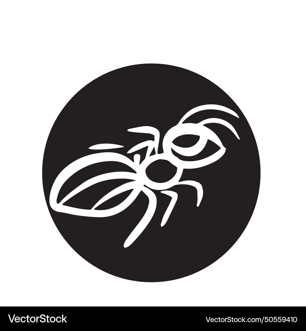Ant design Royalty Free Vector Image - VectorStock