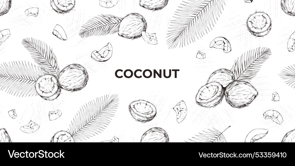 Coconut pattern coco hand drawn sketch art flower Vector Image