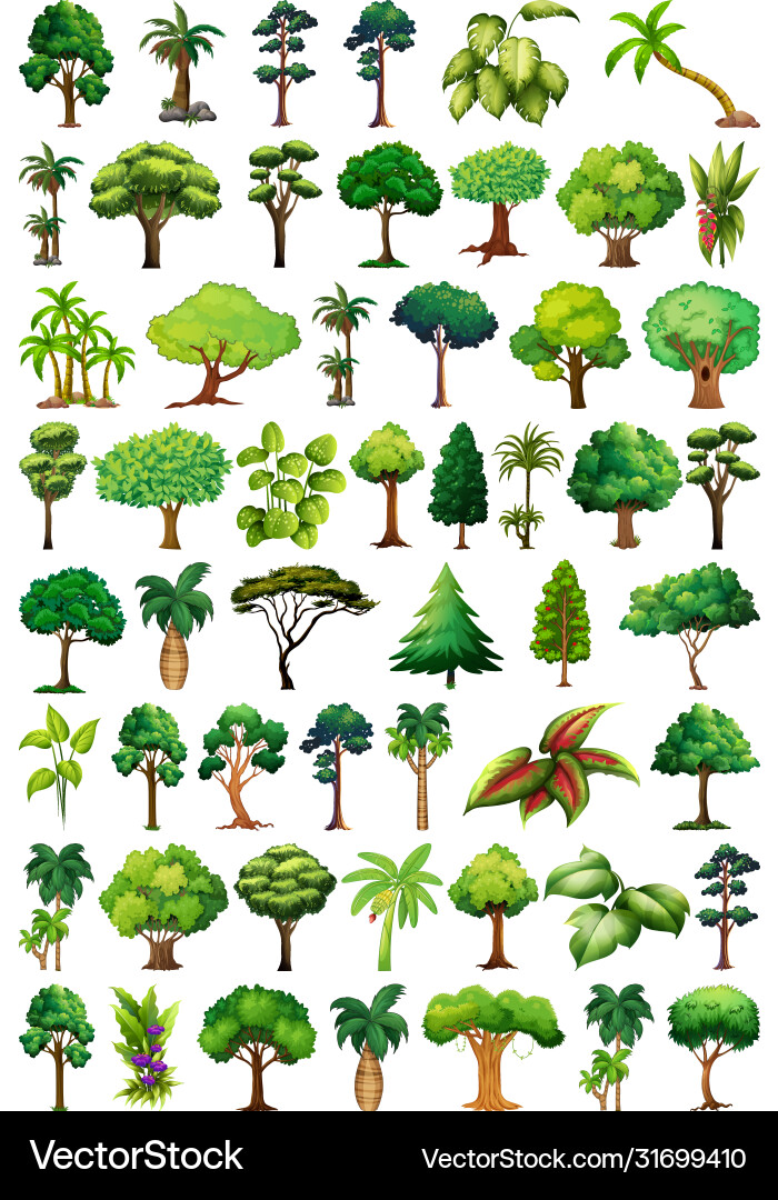 Set variety plants and trees Royalty Free Vector Image