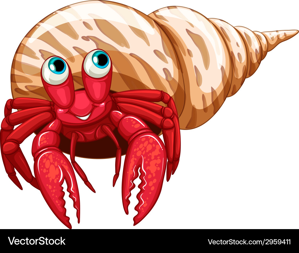 Hermit crab Royalty Free Vector Image - VectorStock