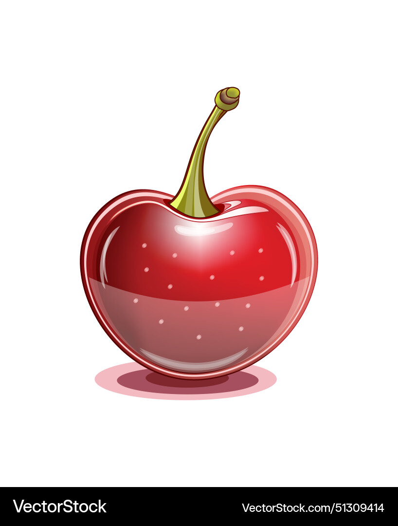 Cherry Isolated On White Background Royalty Free Vector