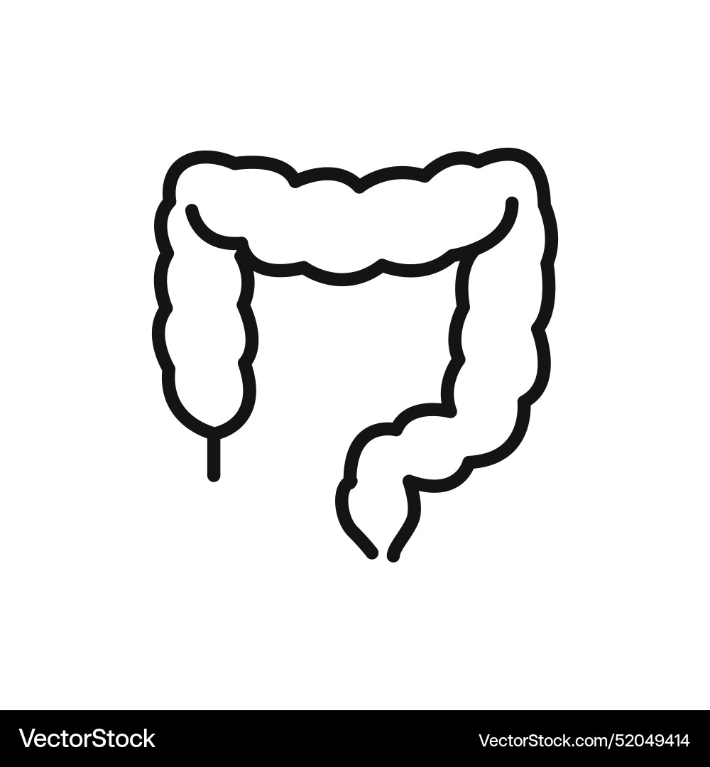 Large intestine icon linear graphics sign Vector Image
