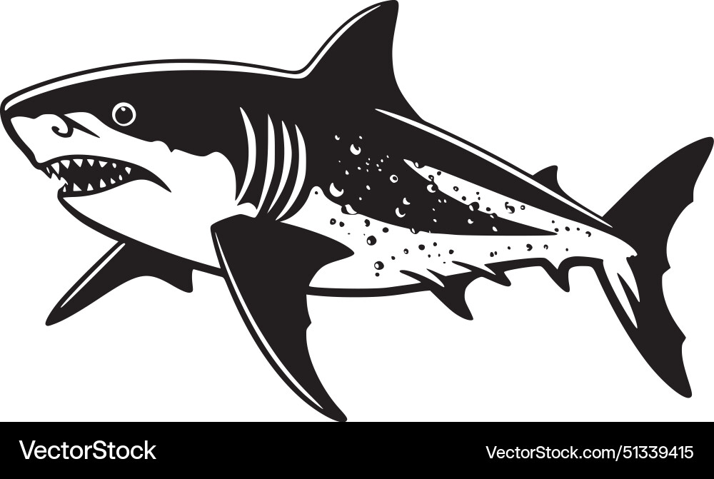 Shark - minimalist and simple silhouette Vector Image