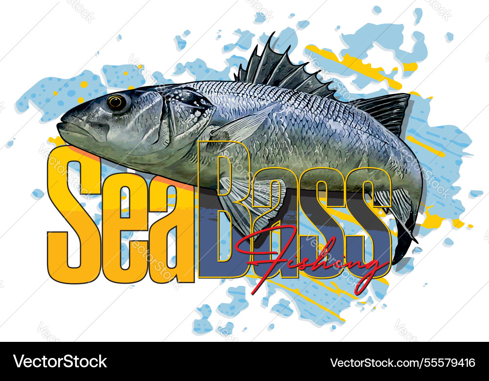 A sea bass Royalty Free Vector Image - VectorStock
