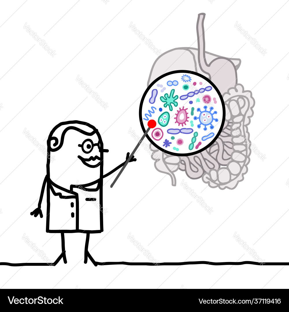 Cartoon doctor explaining what is micro-biota Vector Image