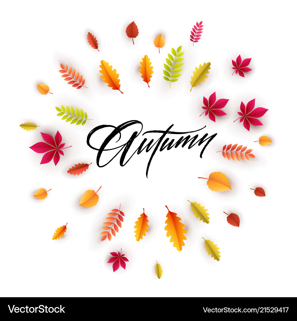 Autumn Leaves Background Royalty Free Vector Image