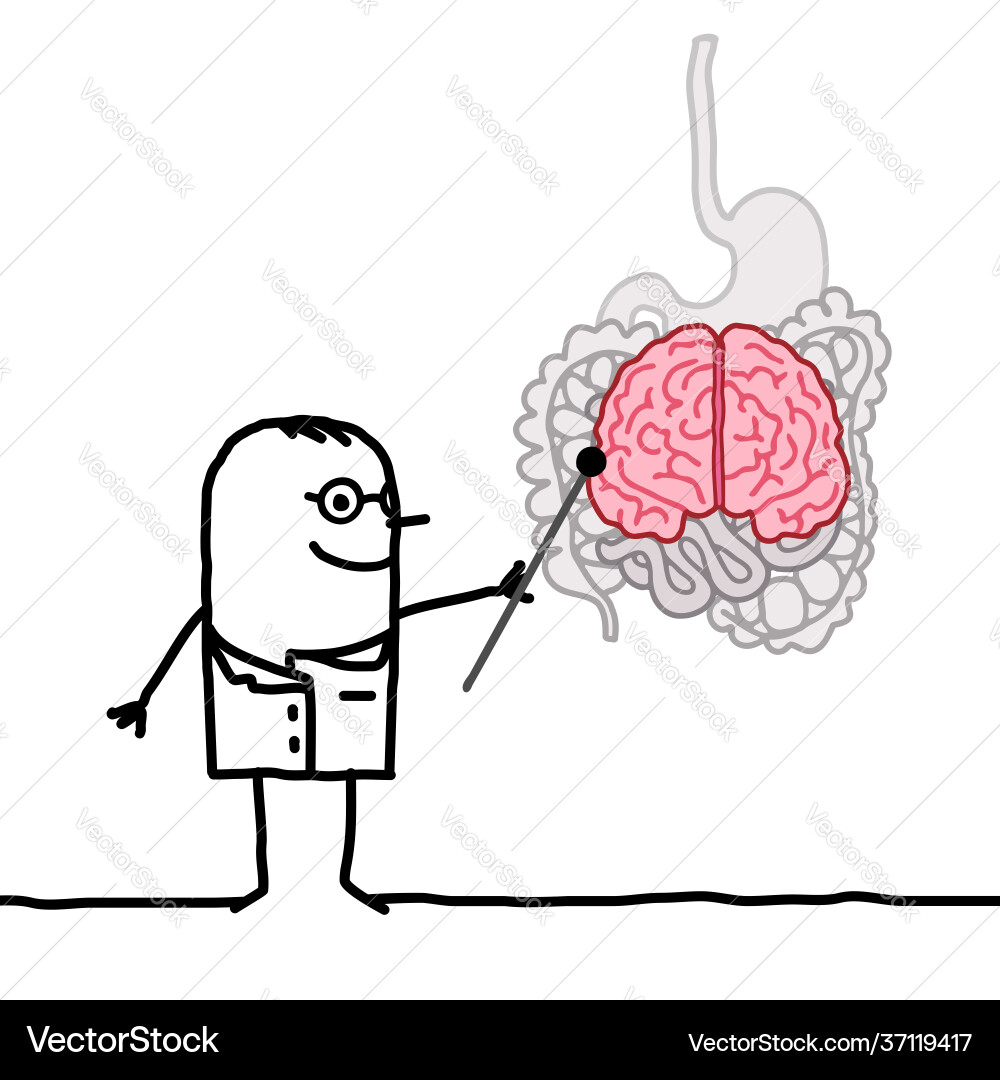 Cartoon doctor explaining that bowel is like Vector Image