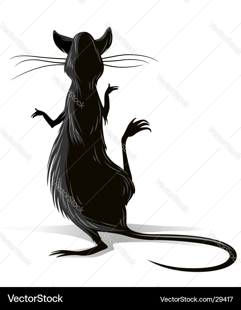 Rat cartoon Royalty Free Vector Image - VectorStock