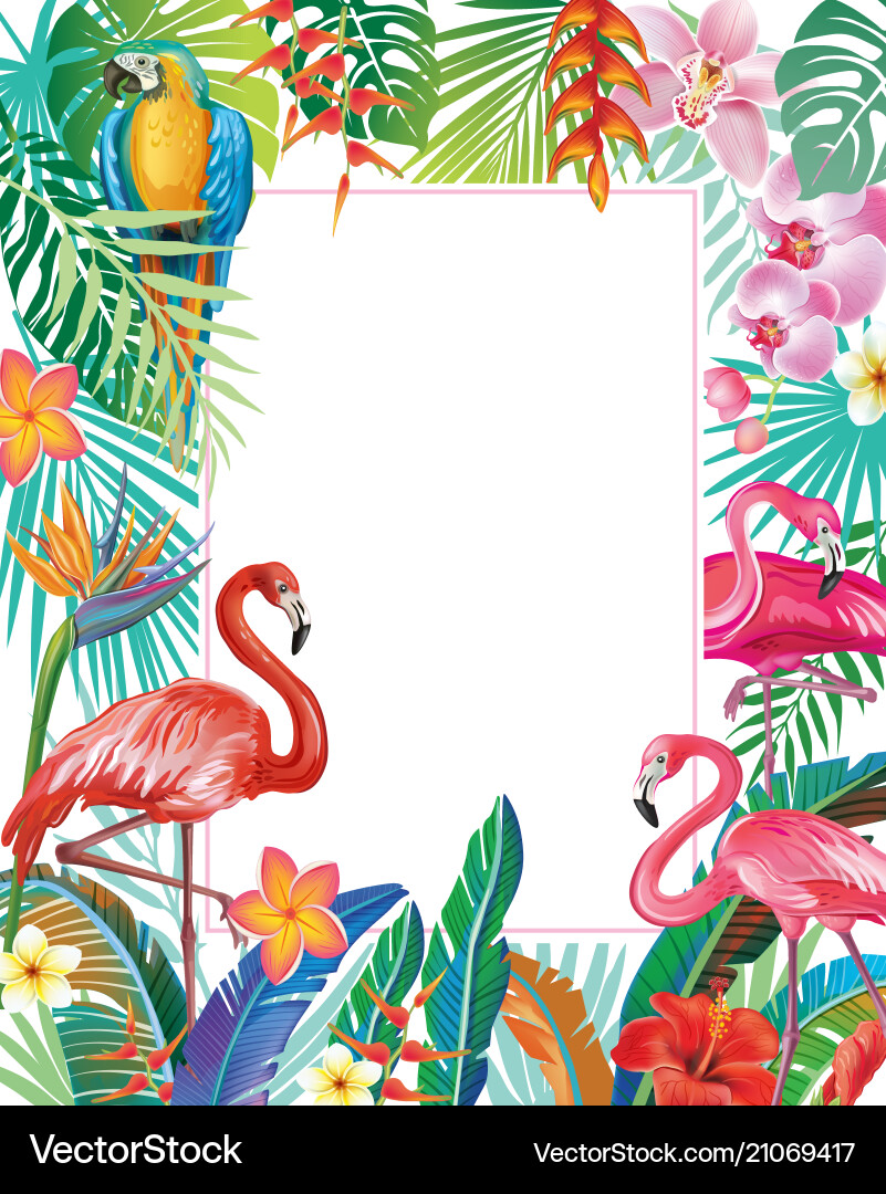 Flamingo border Vector Images & Graphics for Commercial Use | VectorStock