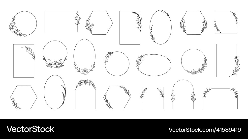 Floral frames minimalistic botanical borders Vector Image
