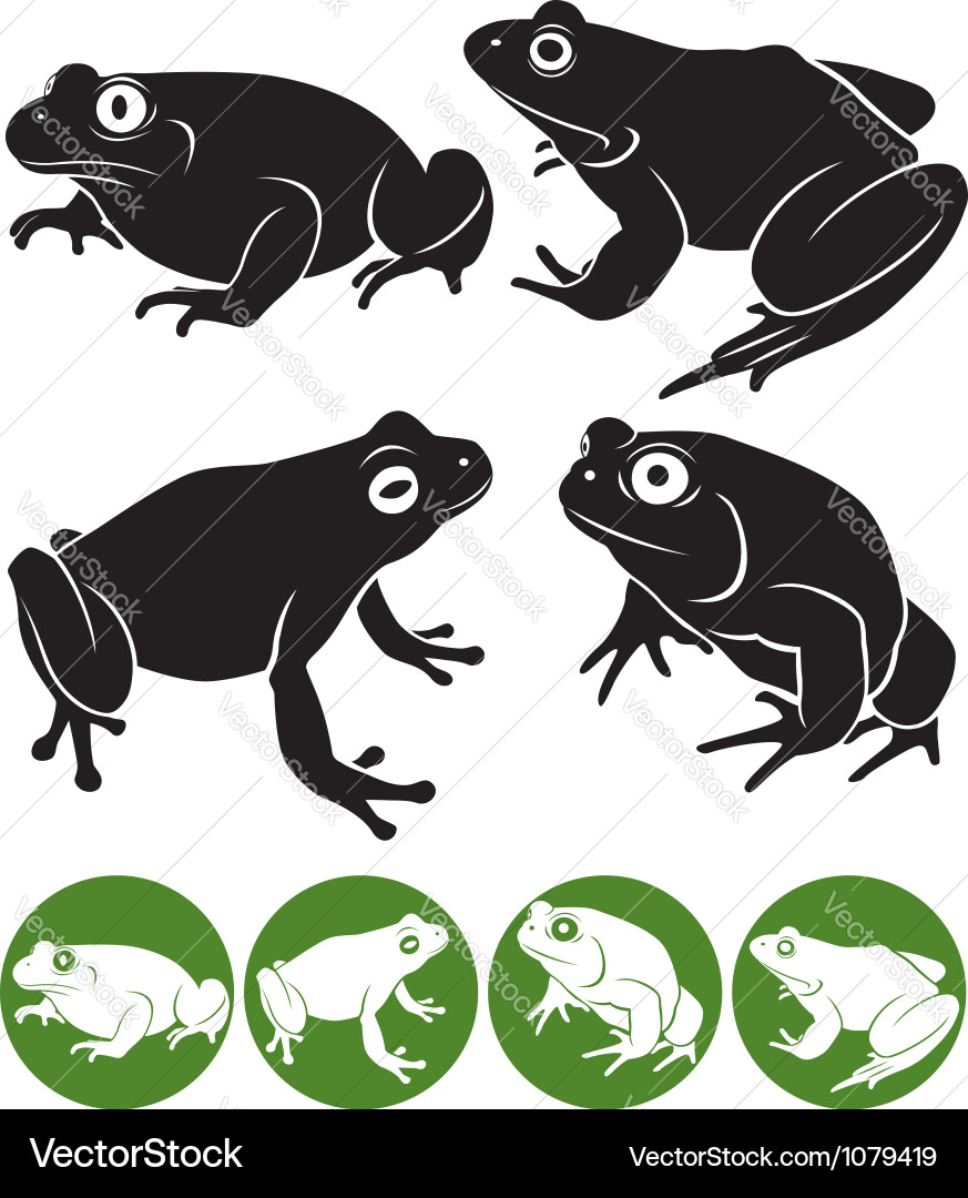 Frog Royalty Free Vector Image - VectorStock