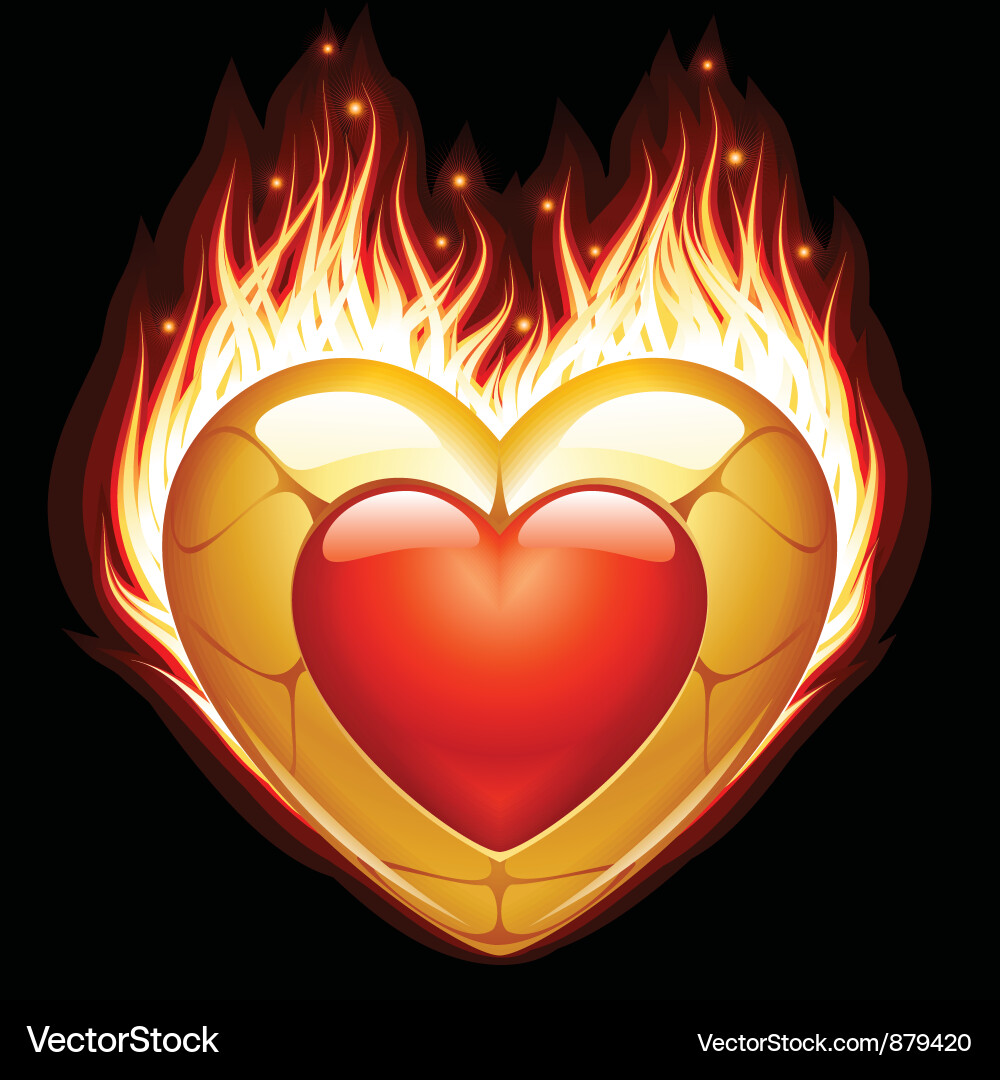 Jewelry heart in fire Royalty Free Vector Image