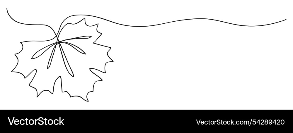 Maple leaf one line drawing isolated on white Vector Image