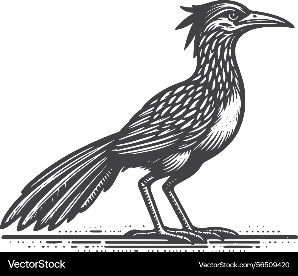 Simple roadrunner side view icon design vintage Vector Image