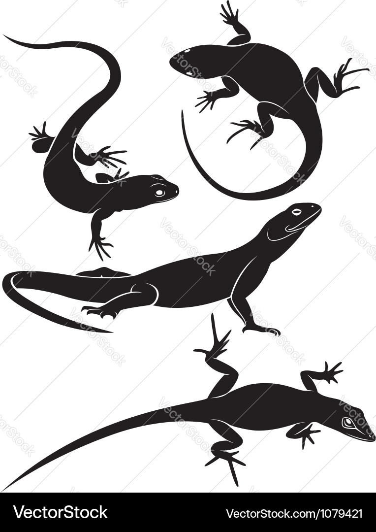 Lizard Royalty Free Vector Image - VectorStock