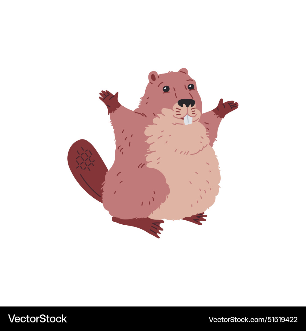 Beaver with teeth a flat tail Royalty Free Vector Image