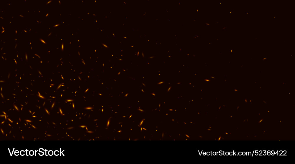 Fire sparks abstract glowing embers heat Vector Image