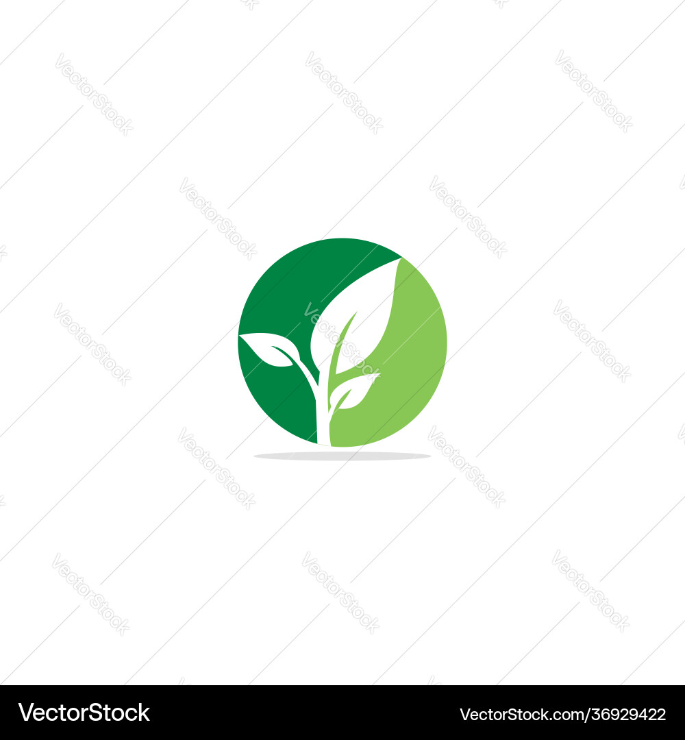 Plant green leaf eco botany logo Royalty Free Vector Image