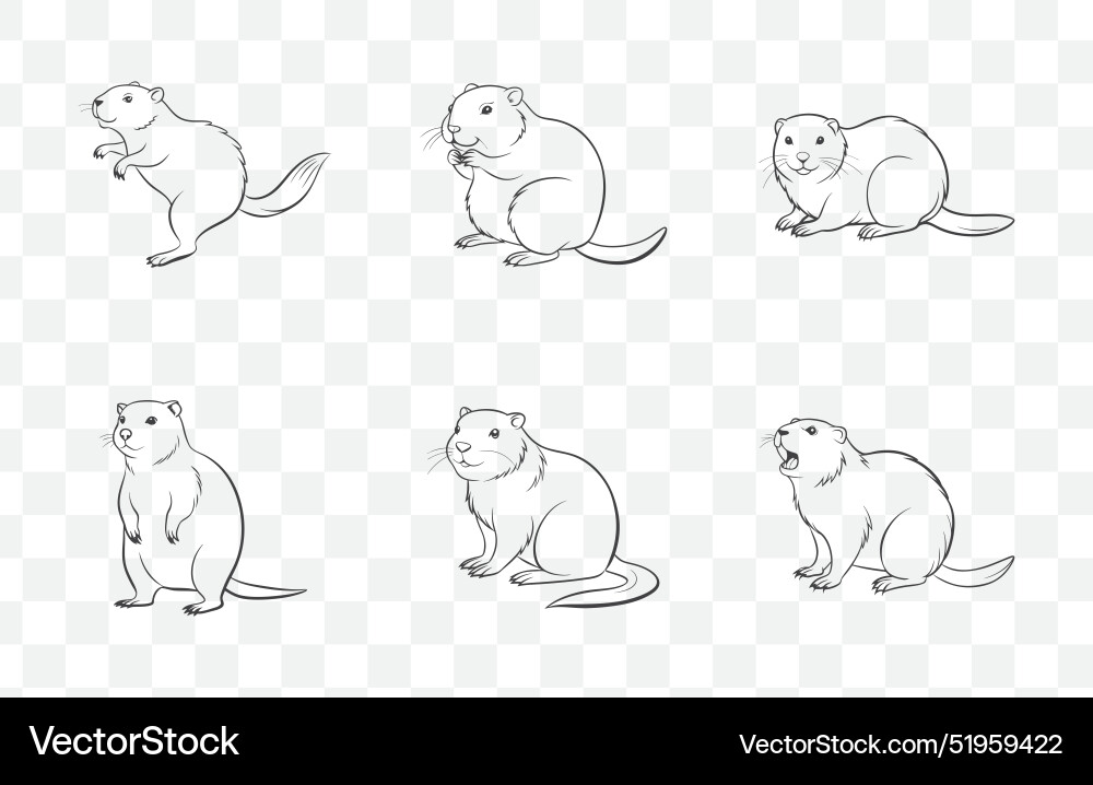 Print ultimate beaver line art collection Vector Image