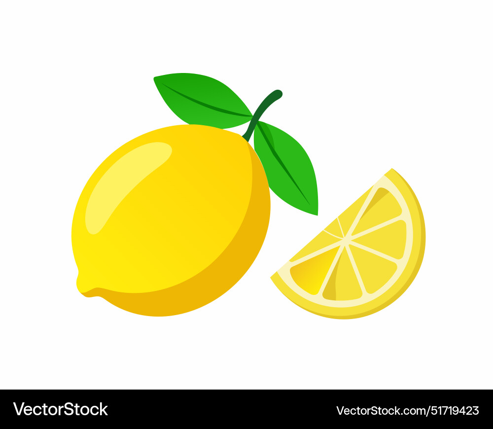 Fresh lemon Royalty Free Vector Image - VectorStock