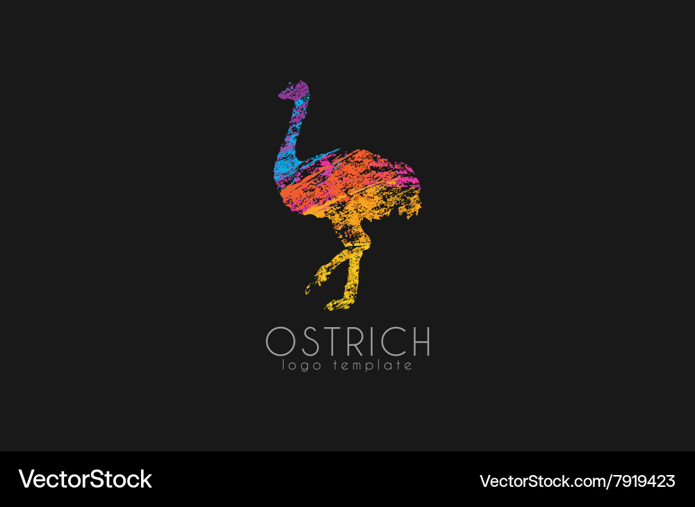 Ostrich logo design creative bird Royalty Free Vector Image