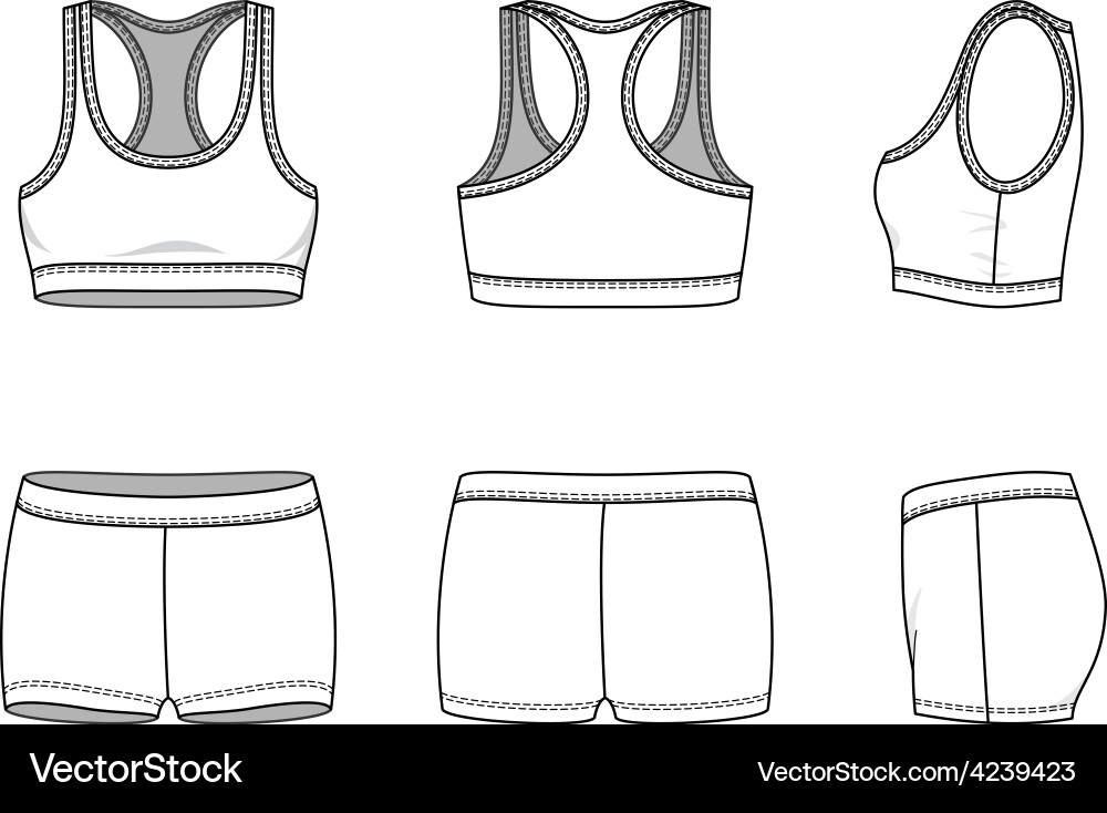 Sports suit Royalty Free Vector Image - VectorStock