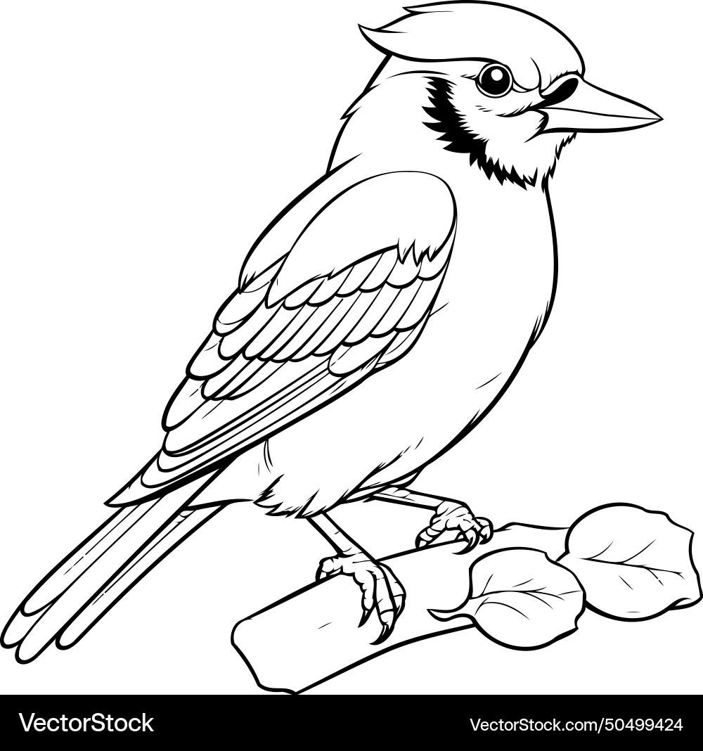 Crested jay - black and white cartoon Royalty Free Vector