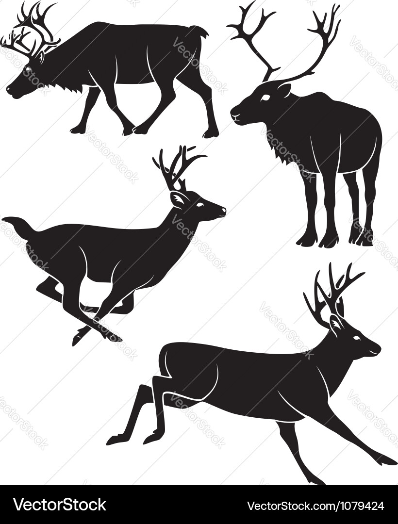 Deer Royalty Free Vector Image - VectorStock