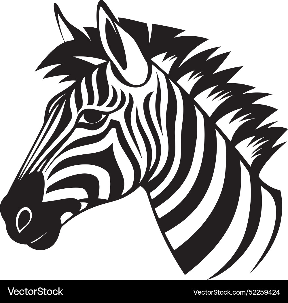 Eclipse of stripes zebra black brilliancezebra Vector Image