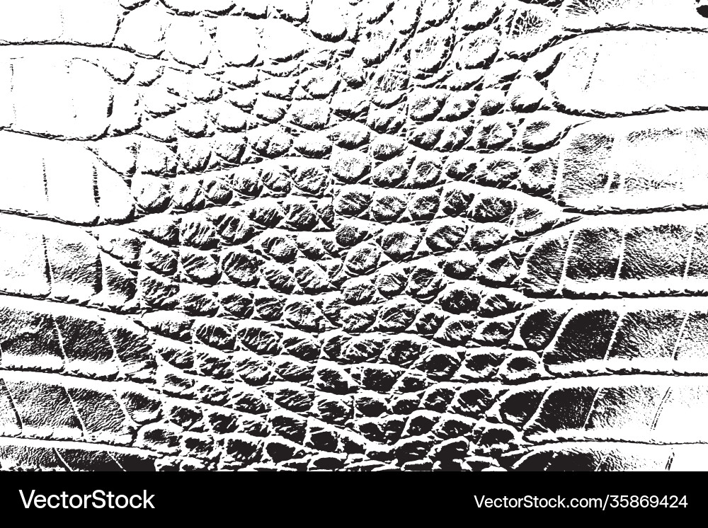 Rough Leather Texture Royalty Free Vector Image