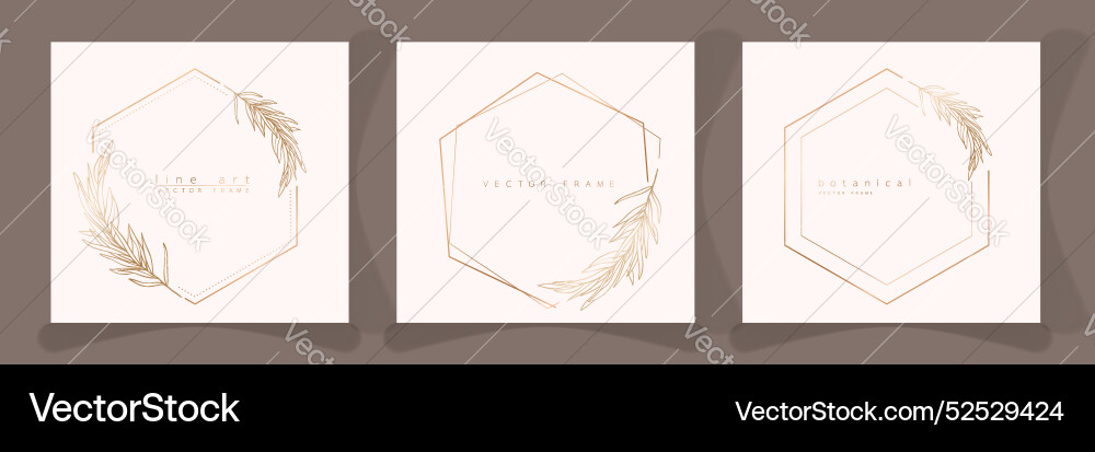 Set of hexagon frame templates in minimal linear Vector Image