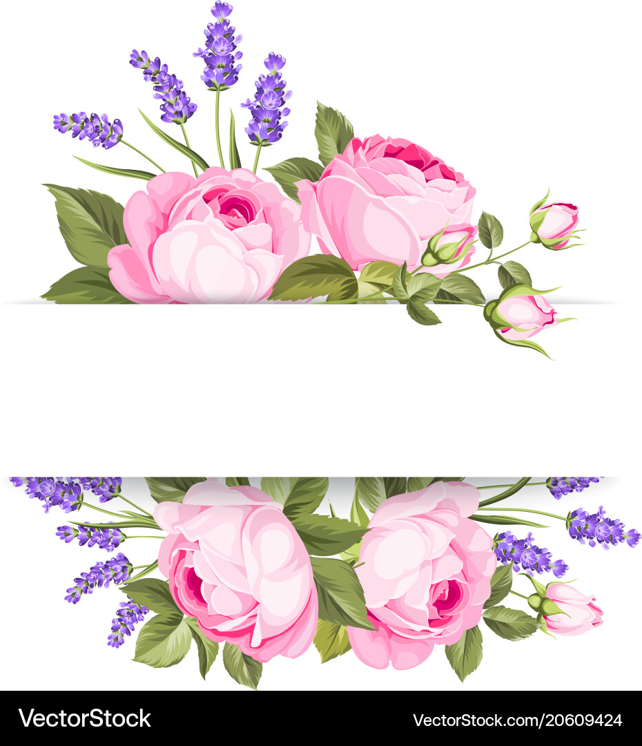 Single rose card Royalty Free Vector Image - VectorStock