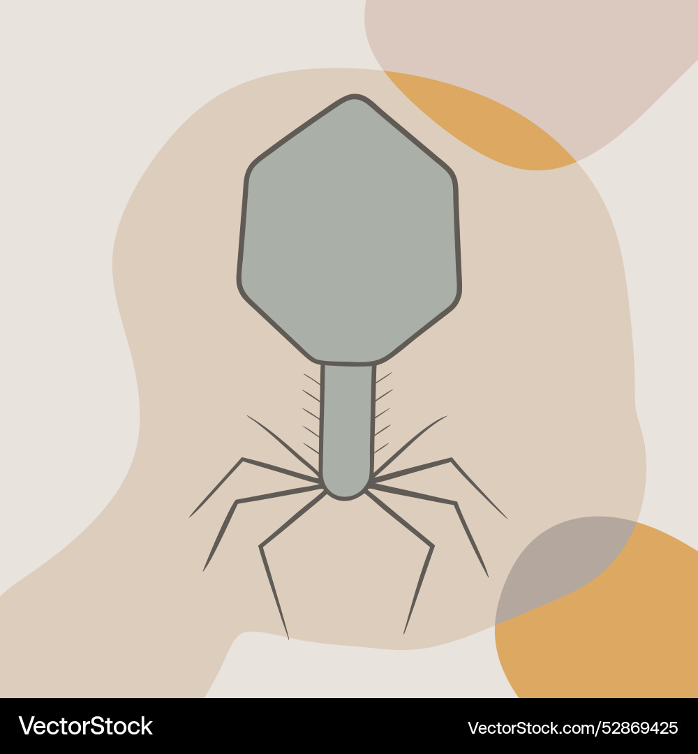 Bacteriophage of phage virus Royalty Free Vector Image