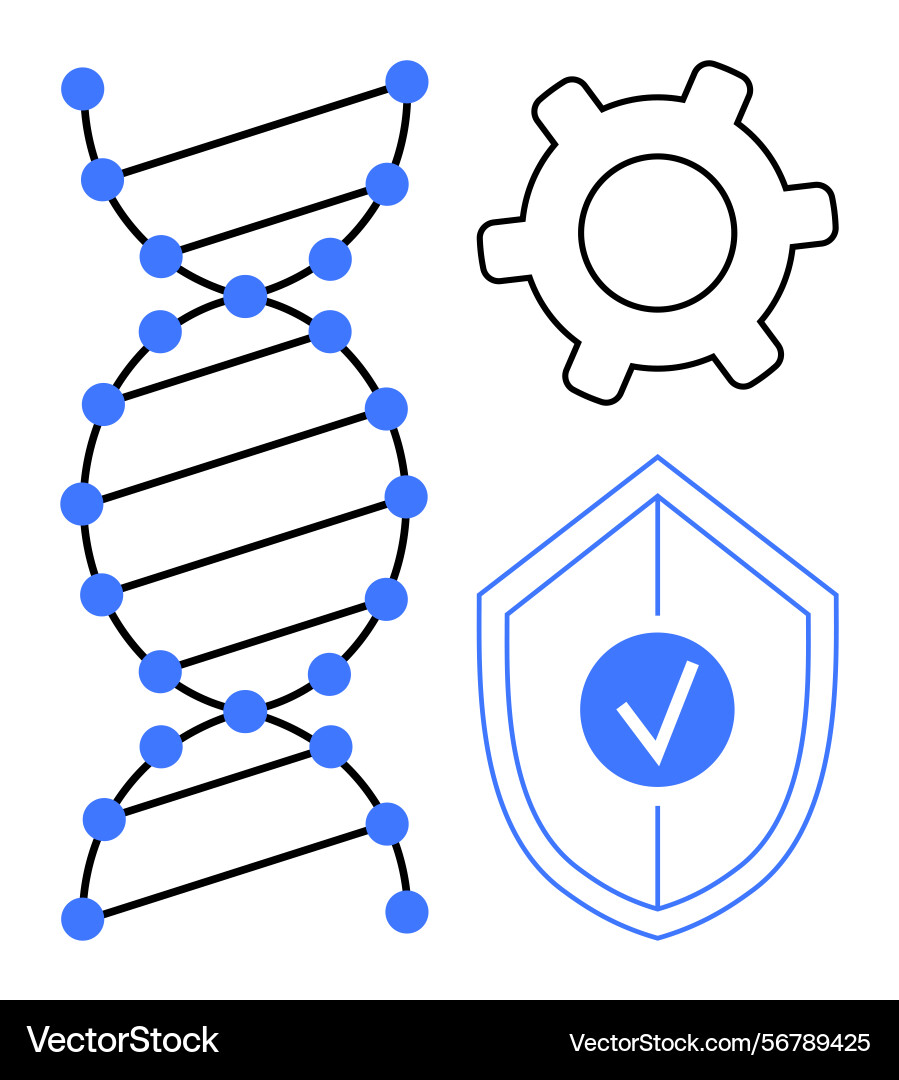 Dna strand with molecules gear and shield Vector Image