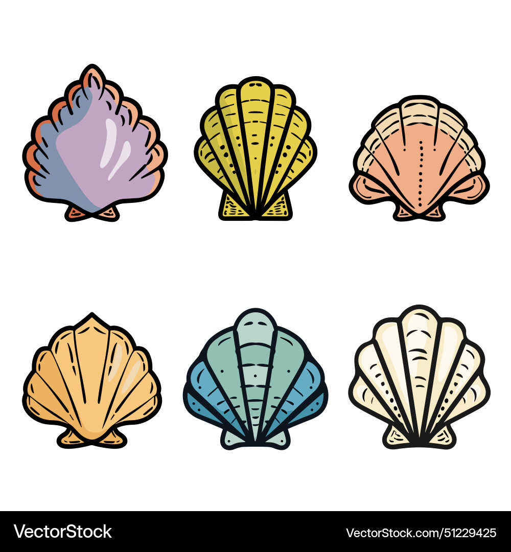 Six colorful seashell icons presented against Vector Image